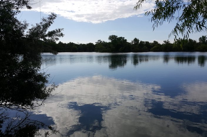 Home - Spirit / Boeing Employees' Association